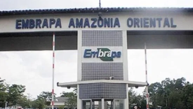 Eldorado/Estadão - Embrapa e a iniciativa privada podem e devem estar ...